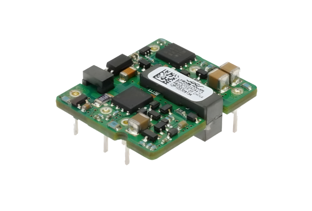 Hammerhead | HY-LINE